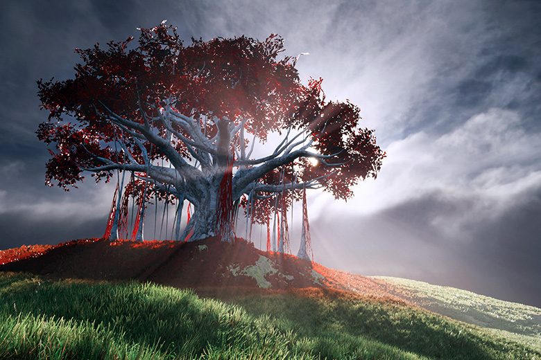 nature-shaders-dynamic-color-overlay-780x580