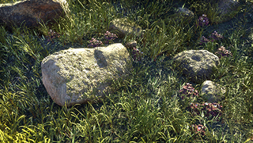 nature-shaders-dynamic-color-overlay-780x580-1