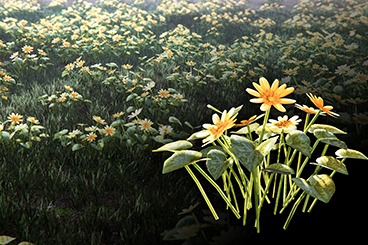 realistic-meadow-assets-yellow-flowers-02-368
