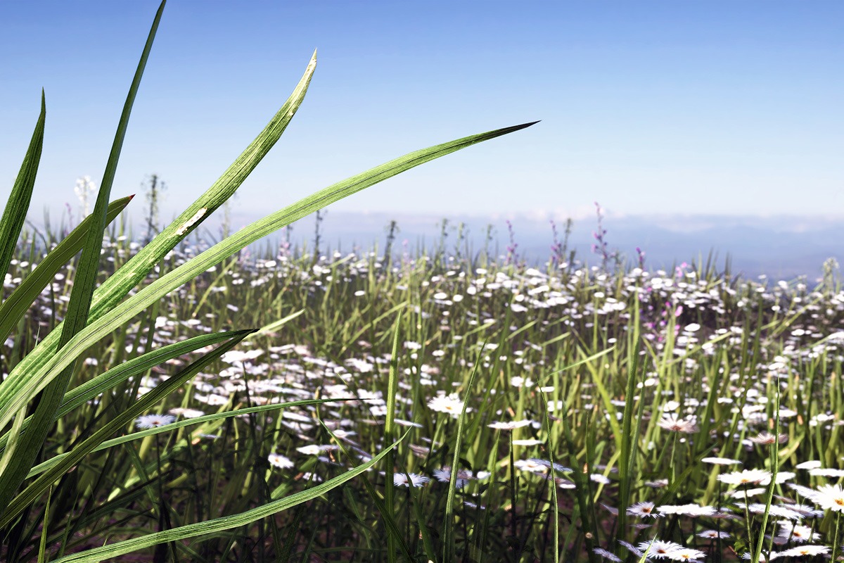 realistic-nature-alpine-meadow